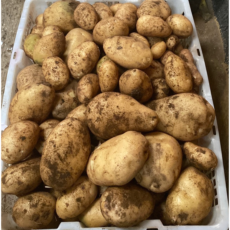 Jual Kentang Dieng 1kg | Shopee Indonesia