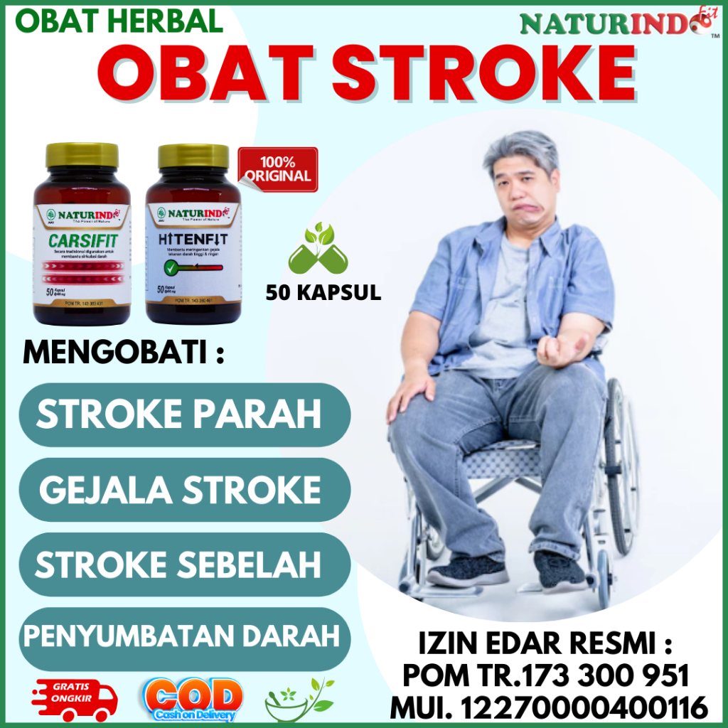 Jual Obat Stroke Herbal Lumpuh Susah Bicara Penyumbatan Otak Saraf ...