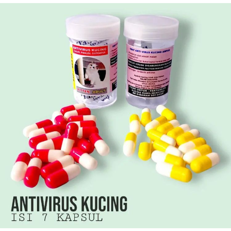 Jual Obat Virus Kapsul Ajaib Kucing Calici Panleukopenia Distemper ...