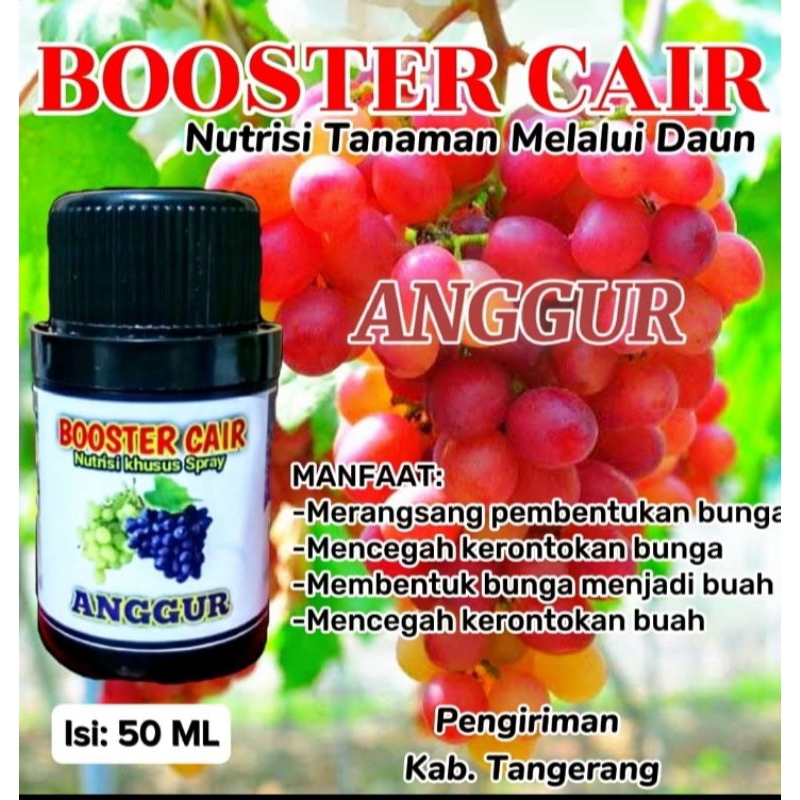 Jual Pupuk Booster Anggur Perangsang Bunga dan Pelebat Buah 50 ml bisa cod | Shopee Indonesia