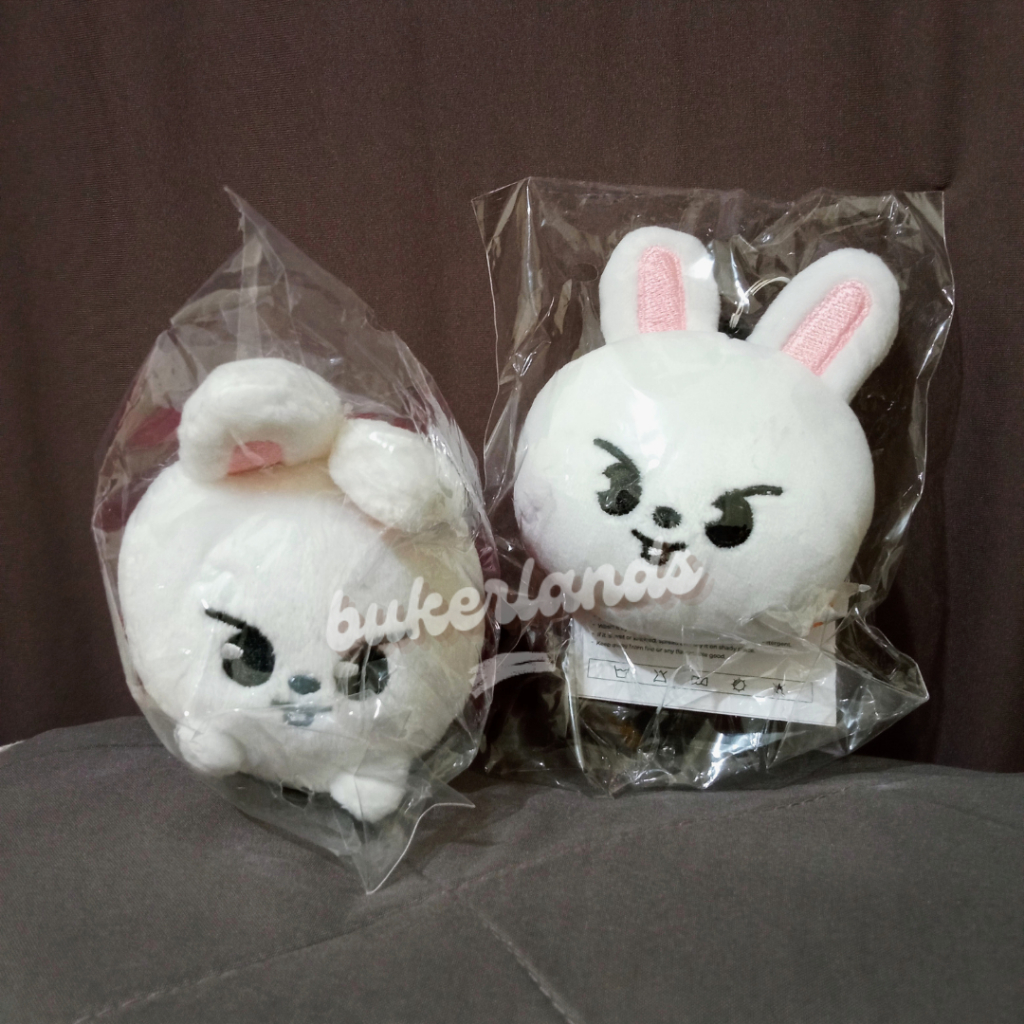 Jual SKZOO MINI BAG CHARM & MINI FACE KEYRING LEEBIT | Shopee Indonesia