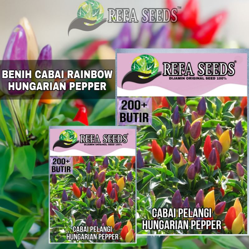 Jual 1 Pack Isi 200 Butir Benih Cabai Pelangi Asli Original / Bibit ...