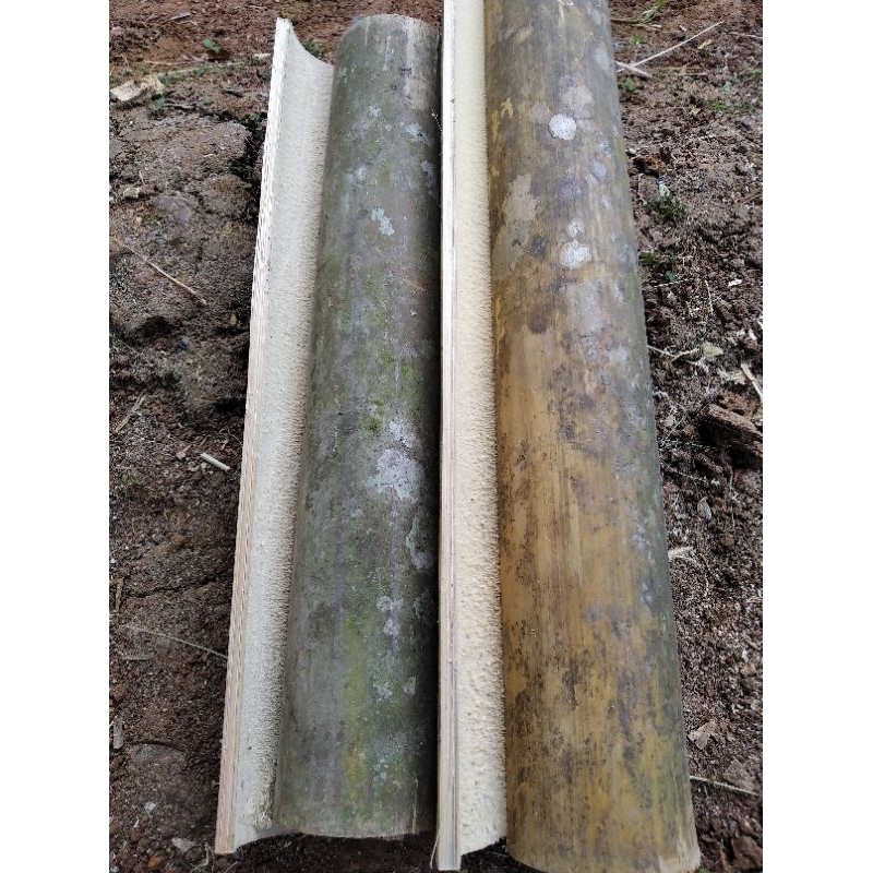 Jual bambu bilah/bambu belah 2 panjang100cm per 1bilah buat layangan ...