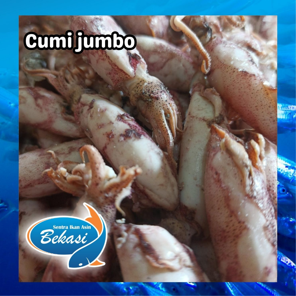 Jual Cumi Asin Rebus JUMBO 250 gram ukuran ±8-10 CM | Shopee Indonesia