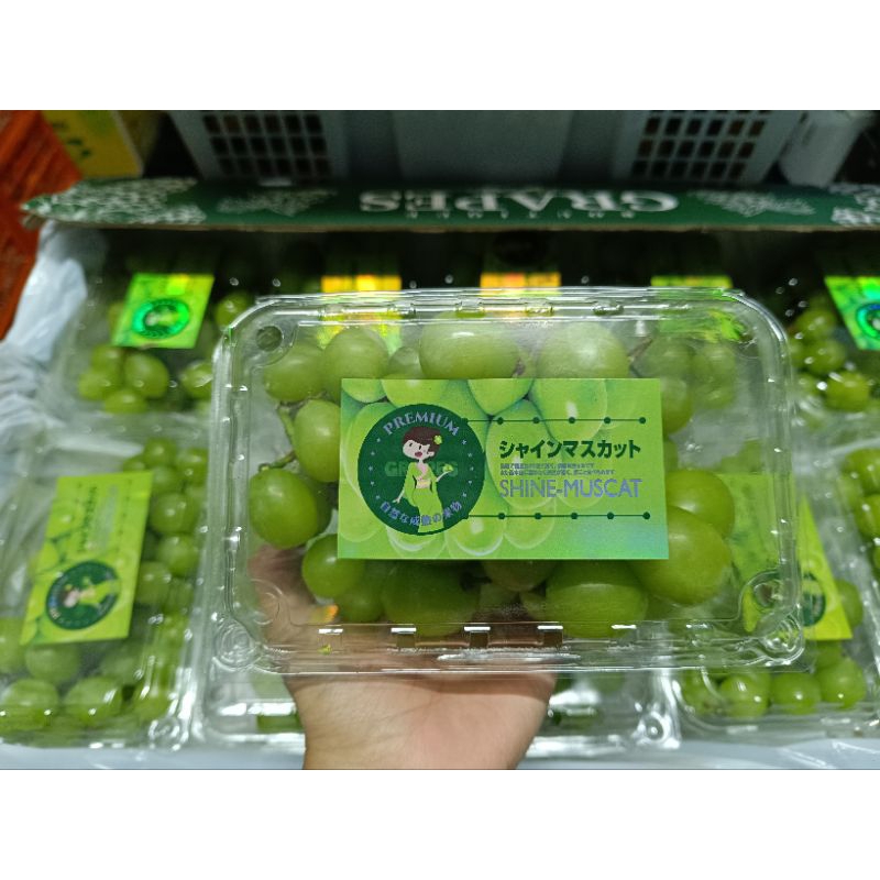 Jual Anggur shine muscat 500 gram / pack | Shopee Indonesia