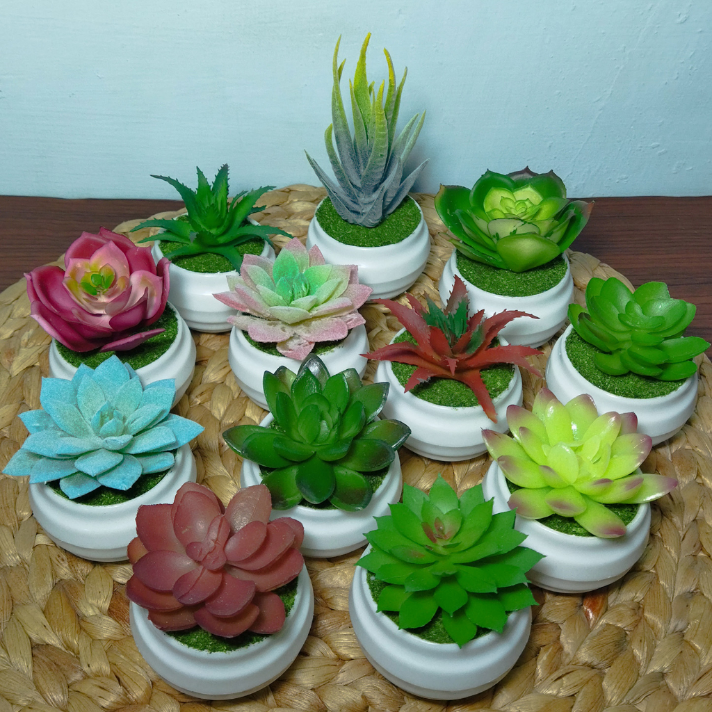 Jual Bunga Cactus Mini Artificial Sekulen Kaktus Plastik Sukulen ...