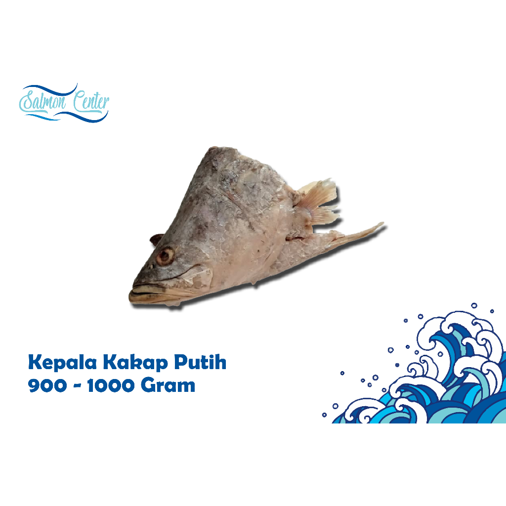 Jual Kepala Ikan Kakap Putih Fresh | Shopee Indonesia