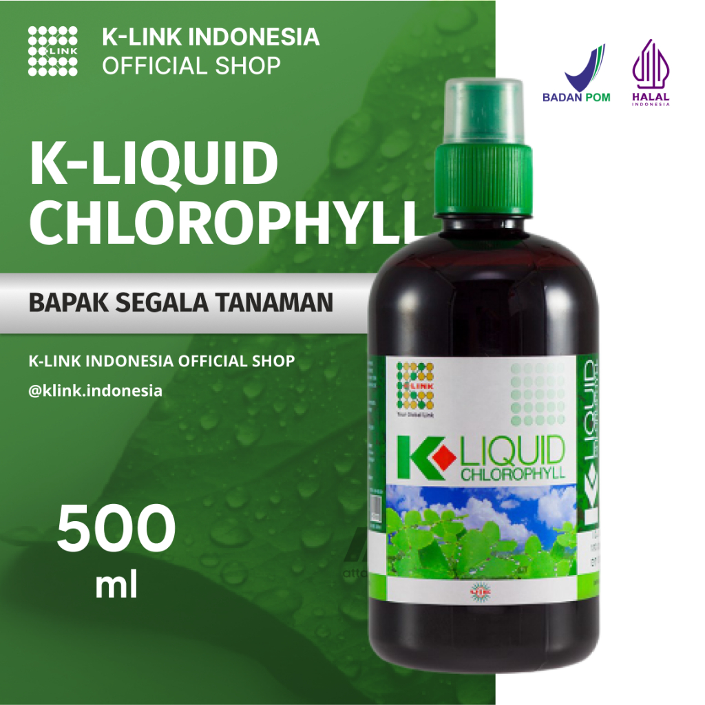 Jual K-LIQUID CHLOROPHYLL 500 ml KLOROFIL K LINK ORIGINAL Clorofil Klink Klorofil Original BPOM ...