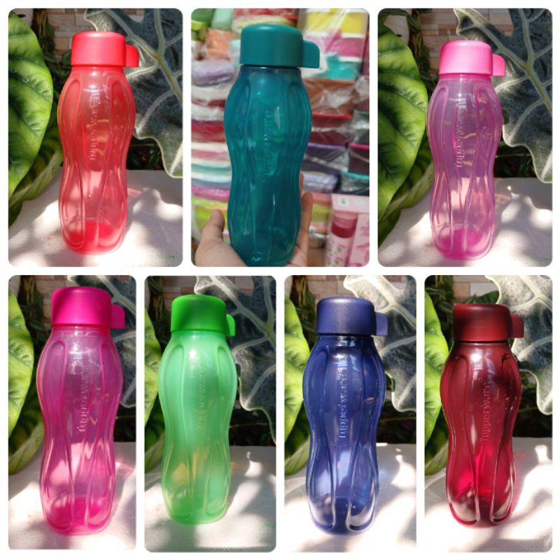 Jual Eco botol 310 ml tupperware eco / bottle 310 ml tupperware ...