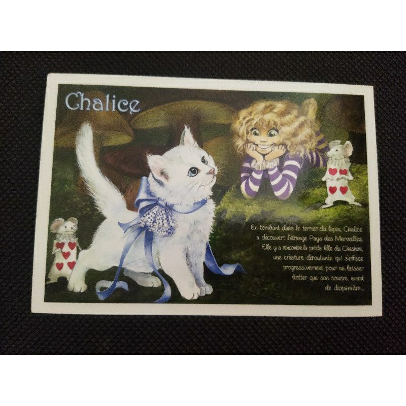 Jual kartu pos kucing/cat postcard | Shopee Indonesia