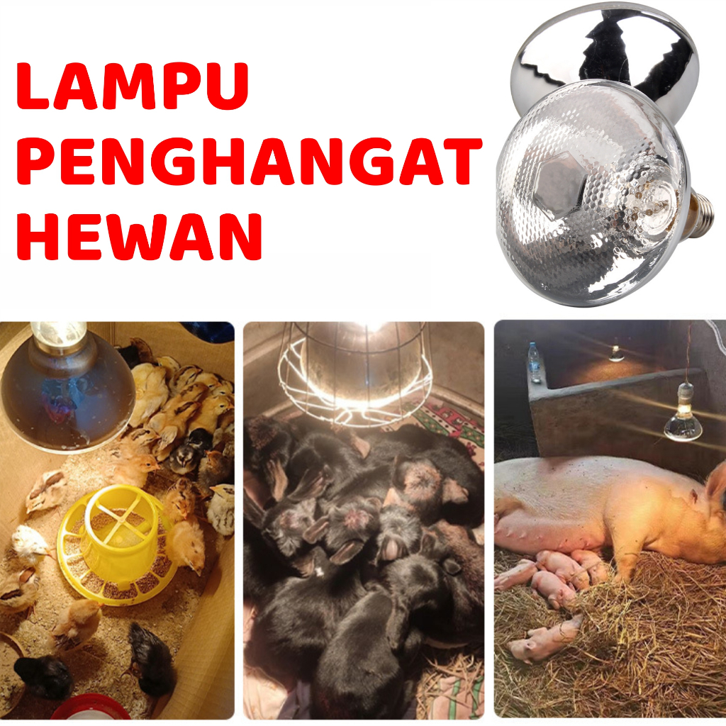 Jual Lampu Pemanas Lampu Penghangat Kandang untuk Anak Ayam Kambing ...
