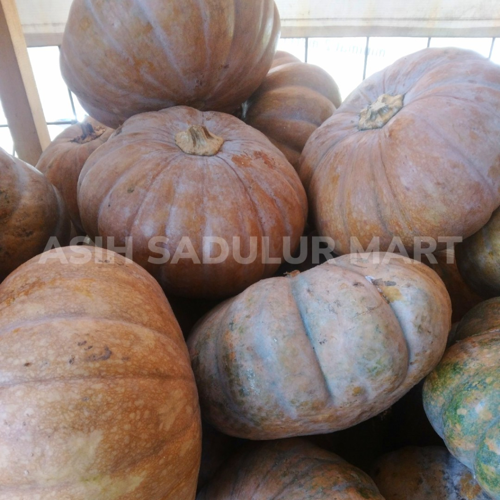 Jual Labu Kuning Pumpkin Utuh 3,5kg - 4,5kg Sayur Promo Bandung ...