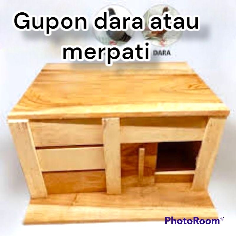Jual GUPON BURUNG DARA MERPATI | Shopee Indonesia