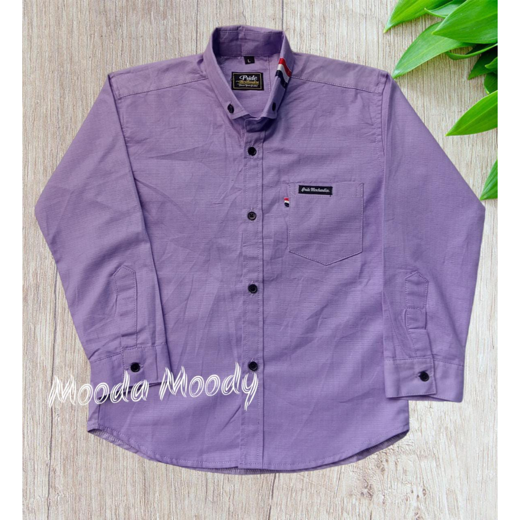 Jual Mooda Moody - Kemeja Anak laki Laki Lengan Panjang Warna Dusty ...