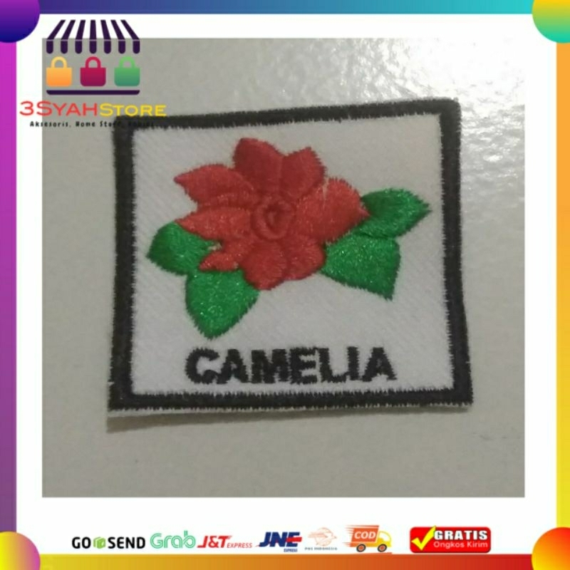 Jual Badge + Bendera Regu Pramuka Penggalang Putri [set] | Shopee Indonesia