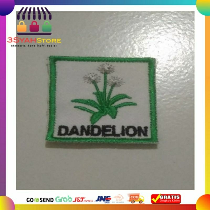Jual Badge + Bendera Regu Pramuka Penggalang Putri [set] | Shopee Indonesia