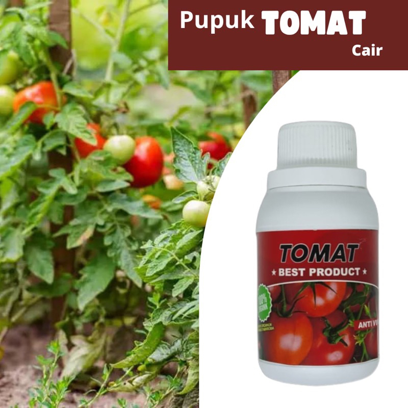 Jual Pupuk Organik Cair Tomat Formula Terbaik Khusus Tomat Agar Cepat Berbunga dan Berbuah Tidak ...