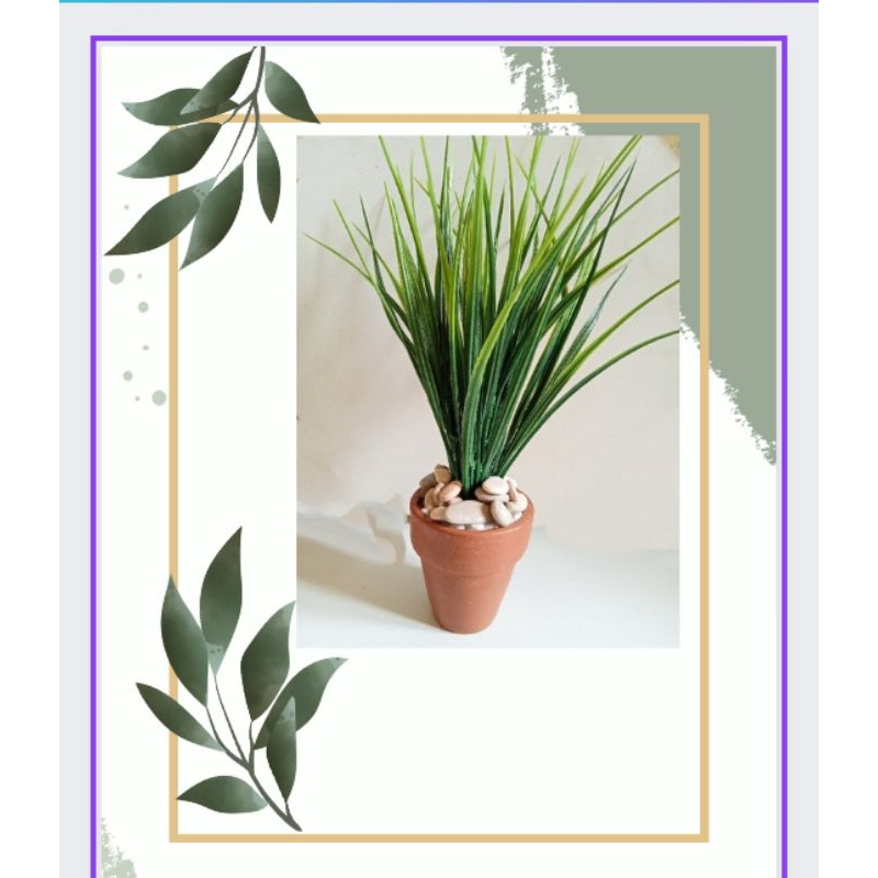 Jual Rumput aesthetic | Shopee Indonesia