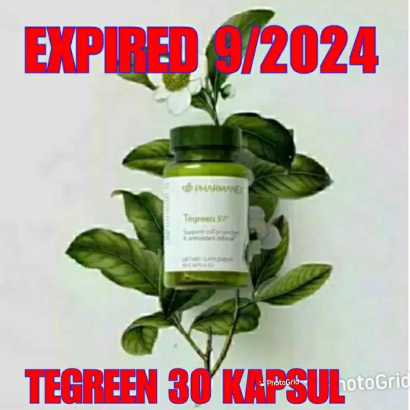 Jual TEGREEN97 ISI 30 KAPSUL EXPIRED 9/2024 | Shopee Indonesia
