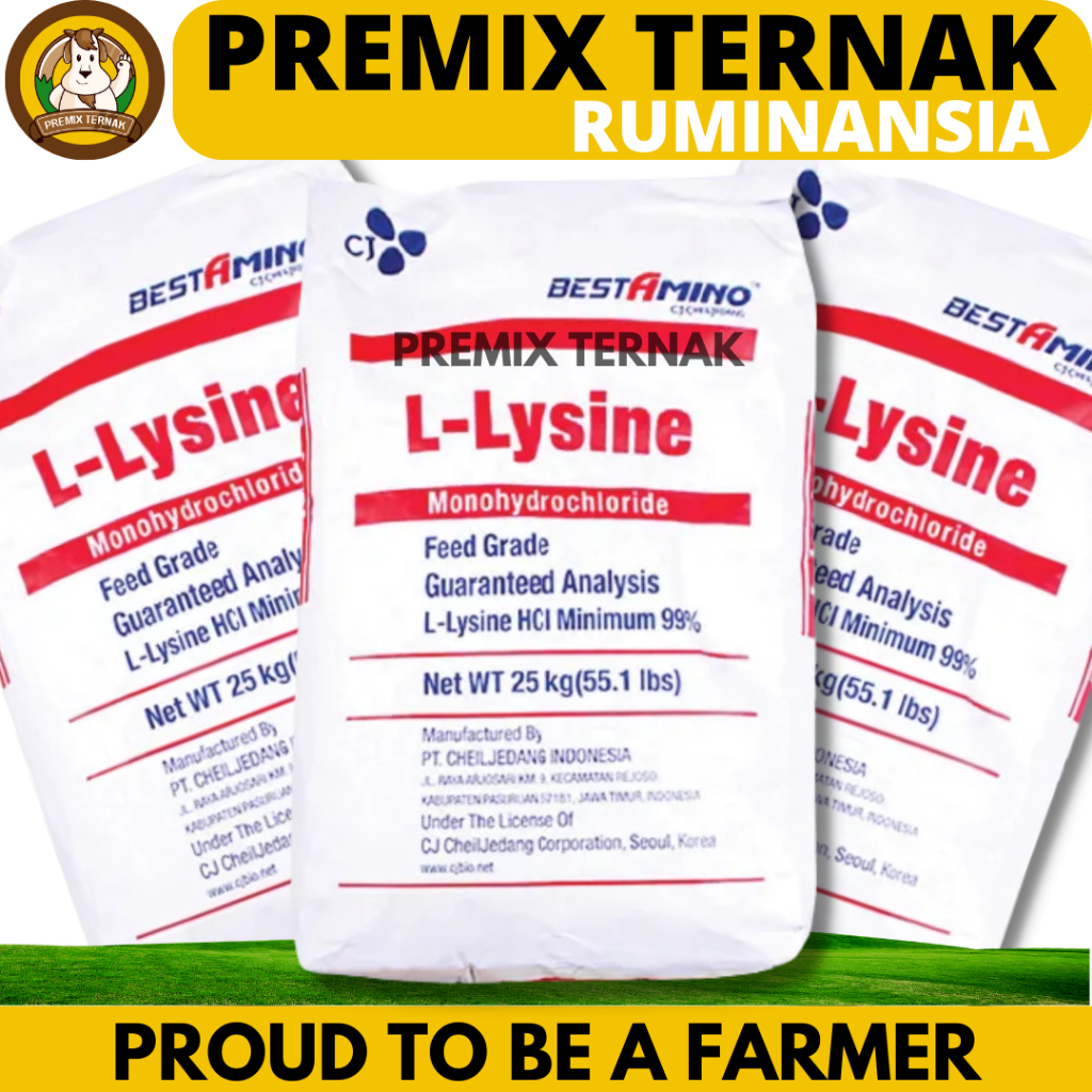 Jual LYSINE 1 KG & LYSINE 500 GRAM - LISIN LYSIN LISINE LEUSIN SUPLEMEN ...