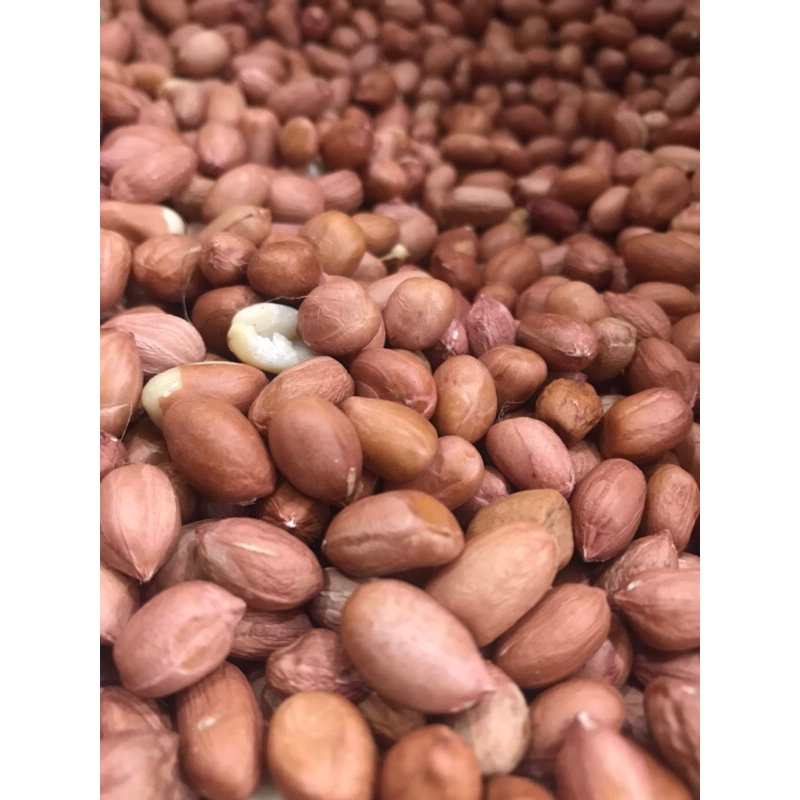 Jual Kacang Tanah india perkg | Shopee Indonesia