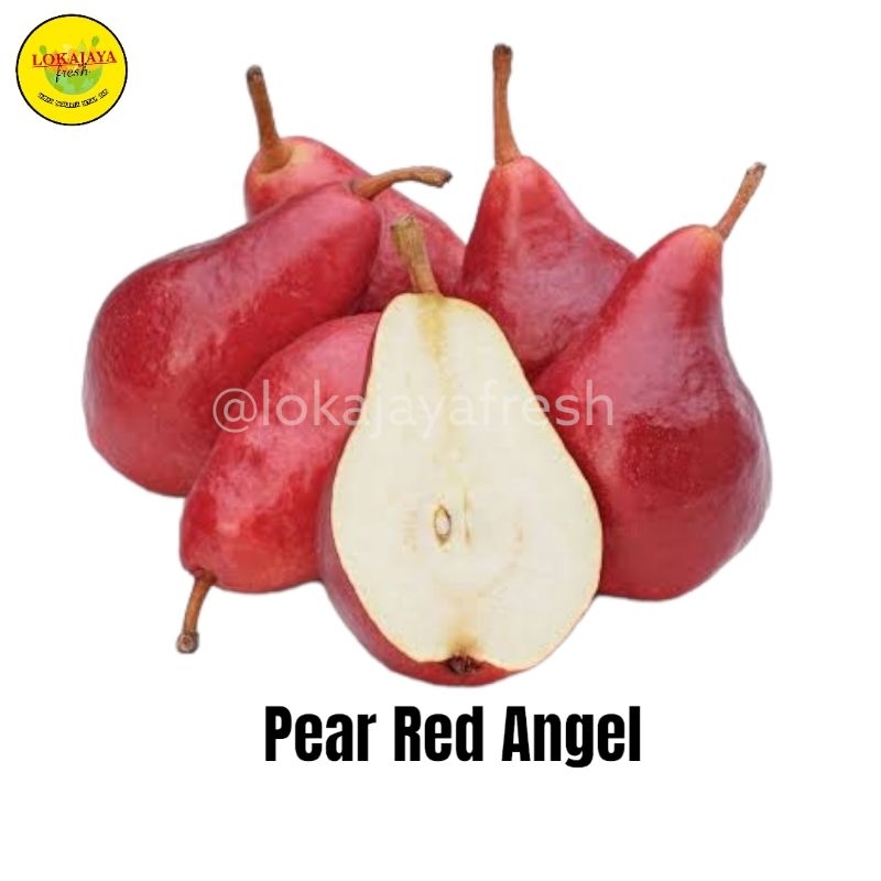 Jual Pear Red Angel 1 Kg | Pear Red Anjou 1 Kg | Shopee Indonesia