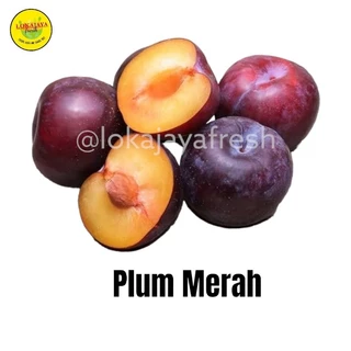 Jual plum merah Harga Terbaik & Termurah Juni 2024 | Shopee Indonesia