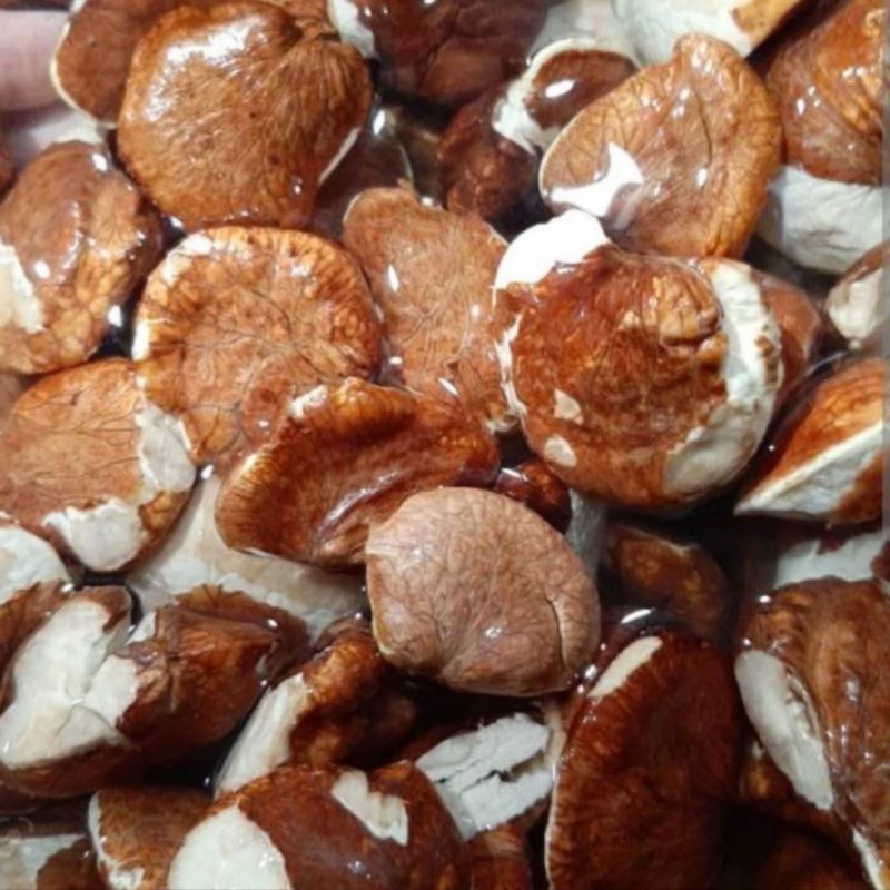 Jual Gayam Mentah Kupas Kualitas Super 1 Kg (Fresh Utuh-Utuh dan Besar ...