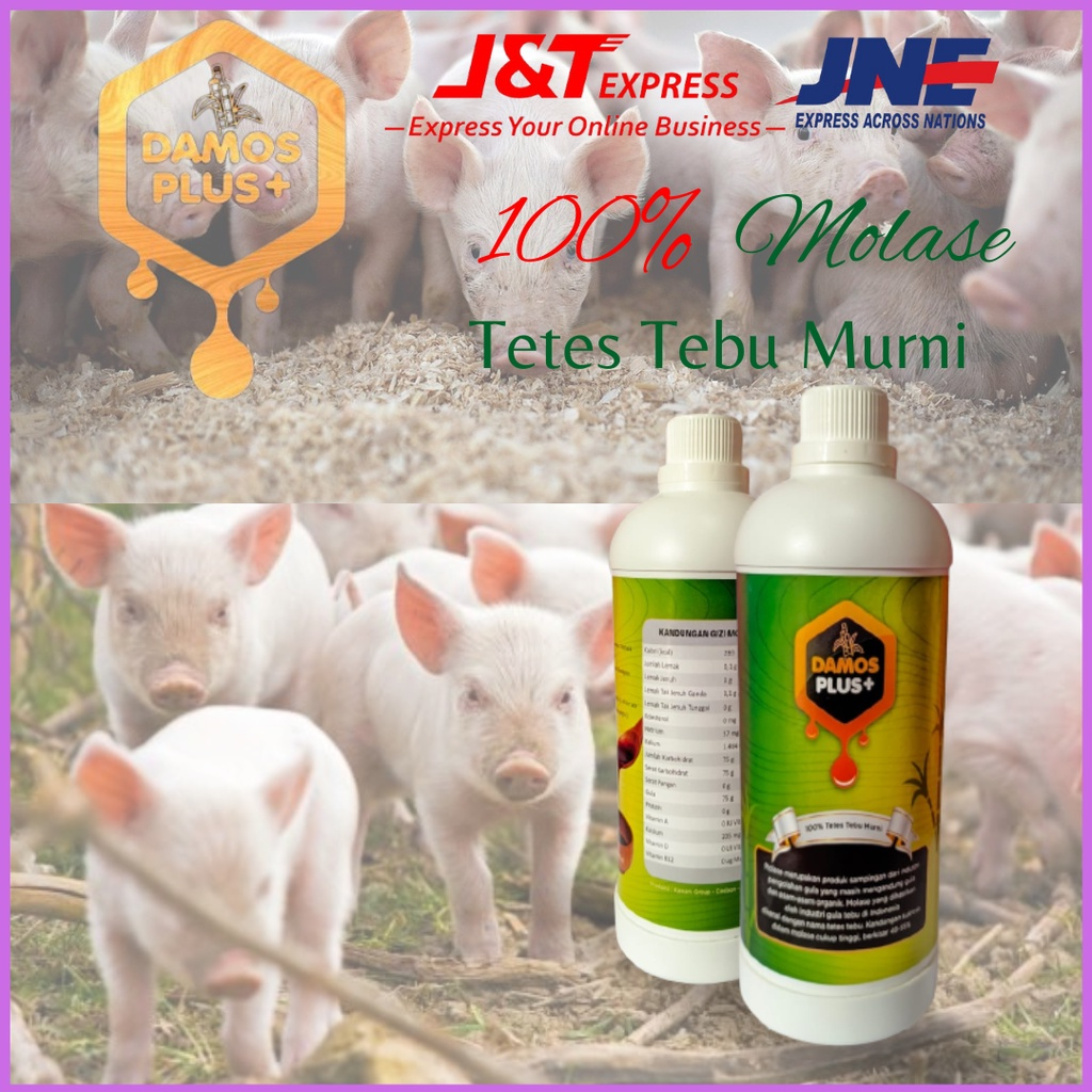 Jual obat penggemuk babi | Obat cacing babi, Suplemen penggemuk babi ...