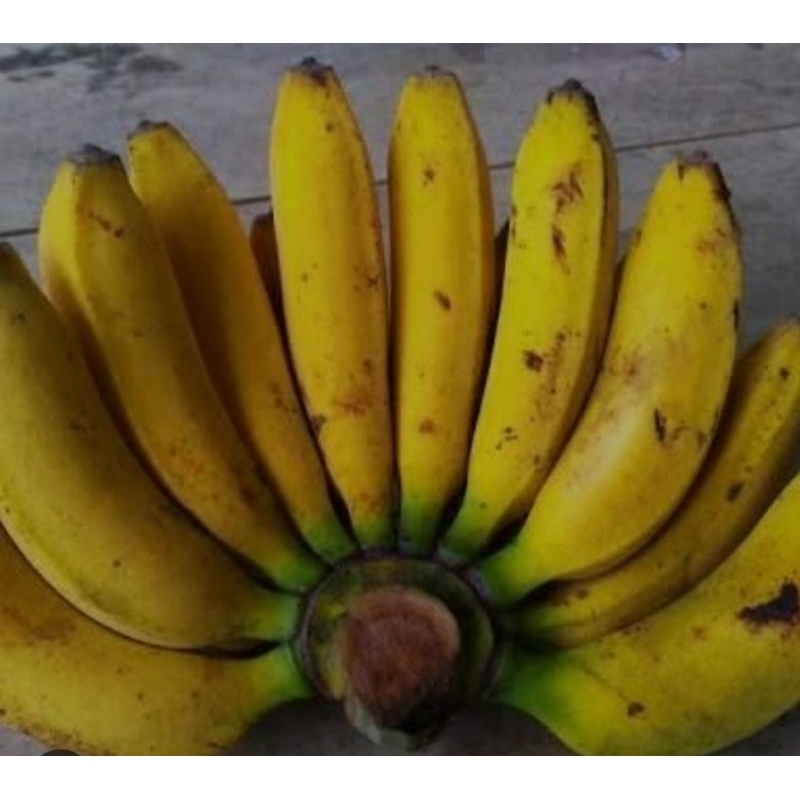Jual Pisang Barangan Medan Super Besar 1 Sisir | Shopee Indonesia