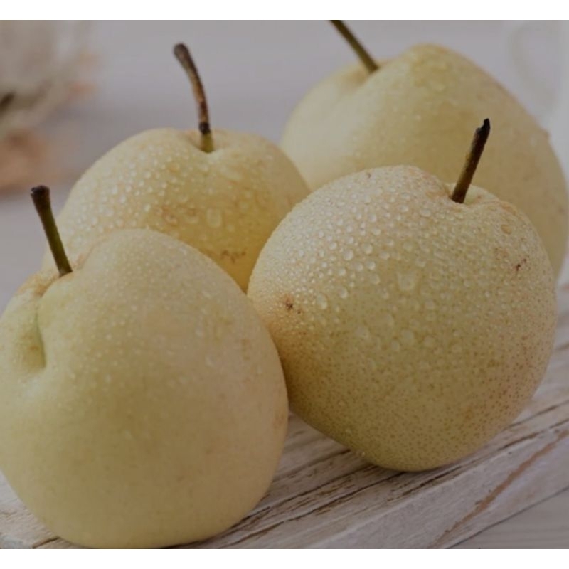 Jual Pear Madu Sweet 1 Kg | Shopee Indonesia