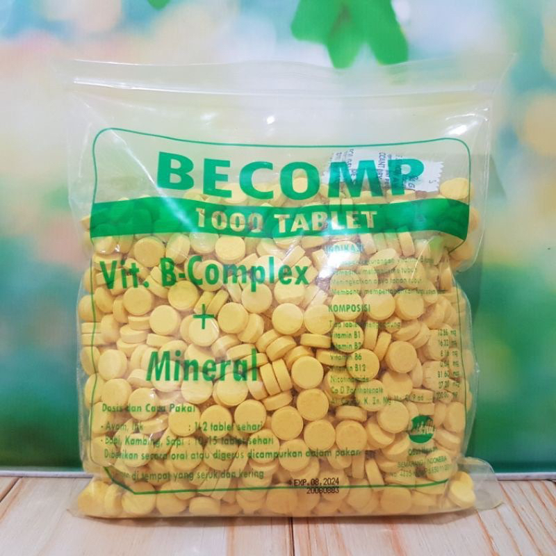 Jual Vitamin B kompleks dan mineral untuk hewan 1000 tablet | Shopee ...