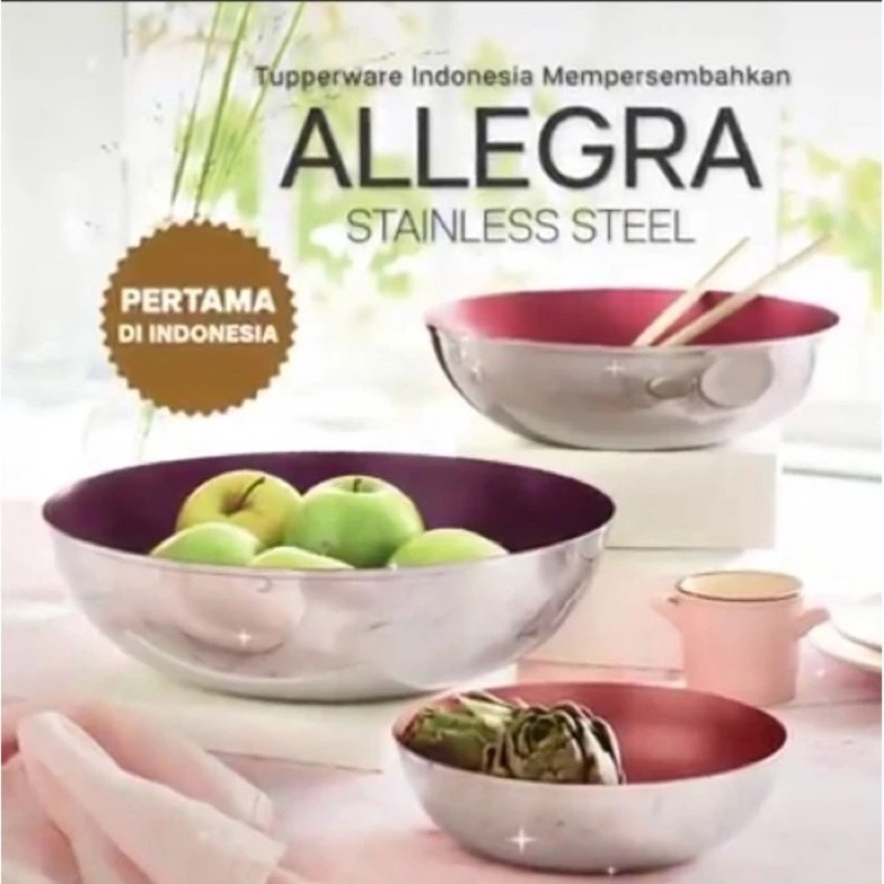 Jual allegra stanles steel tupperware | Shopee Indonesia
