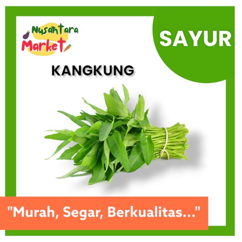 Jual KANGKUNG | ISI PERIKAT | NUSANTARA MARKET | SURABAYA | Shopee ...
