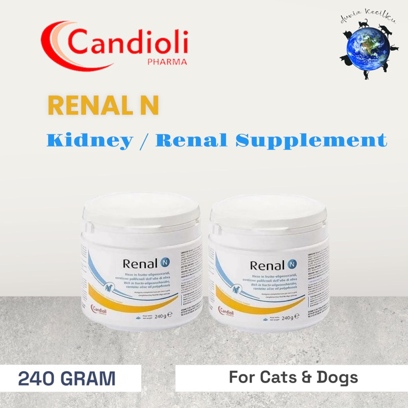 Jual Renal N Candioli Pharma - Supplement To Support Healthy Kidney ...