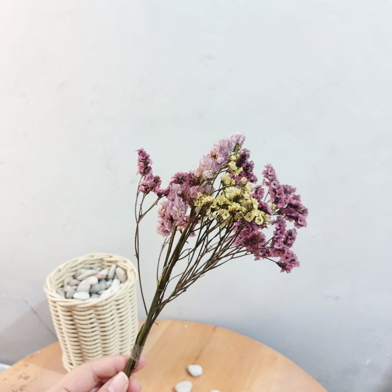 Jual 1 Ikat Bunga Kering dried flowers aesthetic (bunganya saja ...