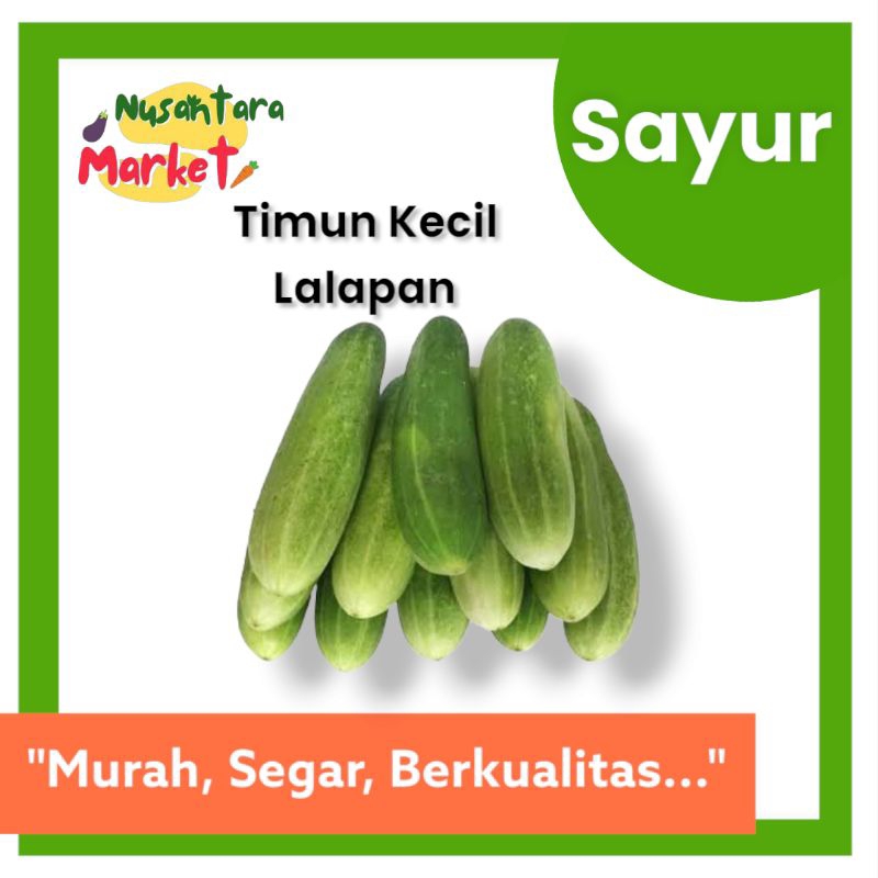 Jual TIMUN KECIL LALAPAN | 500GR & 1KG | NUSANTARA MARKET | SURABAYA ...