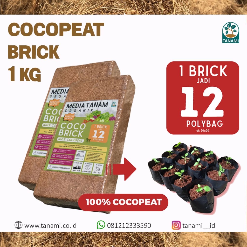 Jual Cocopeat Block 1 kg / Cocopeat Blok Media Tanam Sabut Kelapa by ...