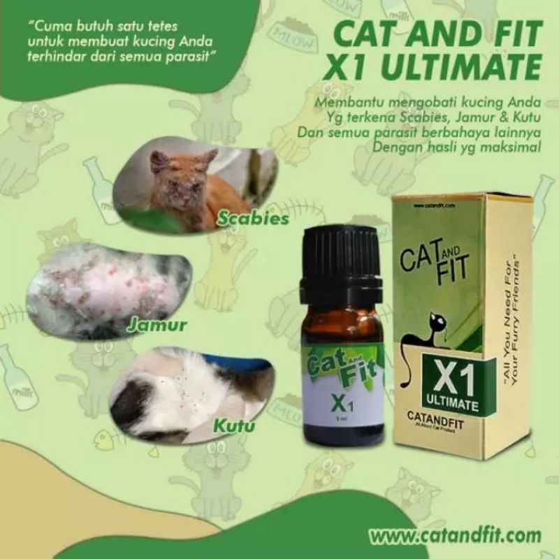 Jual Cat and Fit X1 Ultimate ORIGINAL Obat Tetes Kutu Kucing Jamur ...