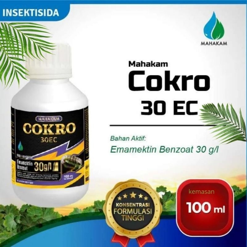 Jual insektisida COKRO 30EC MAHAKAM ampuh untuk hama tanaman sangat ...