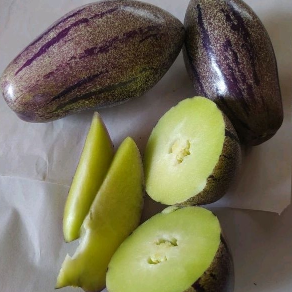 Jual Buah Pepino/buah put 1kg khas ciwidey | Shopee Indonesia