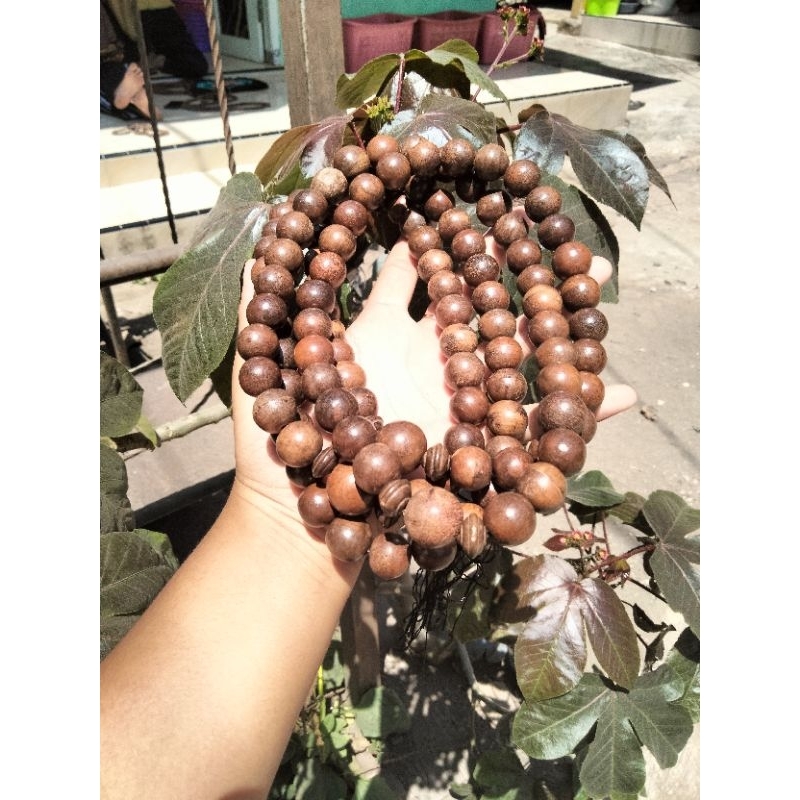 Jual Tasbih Japamala kayu gaharu agathis/kayu raja 15mm | Shopee Indonesia