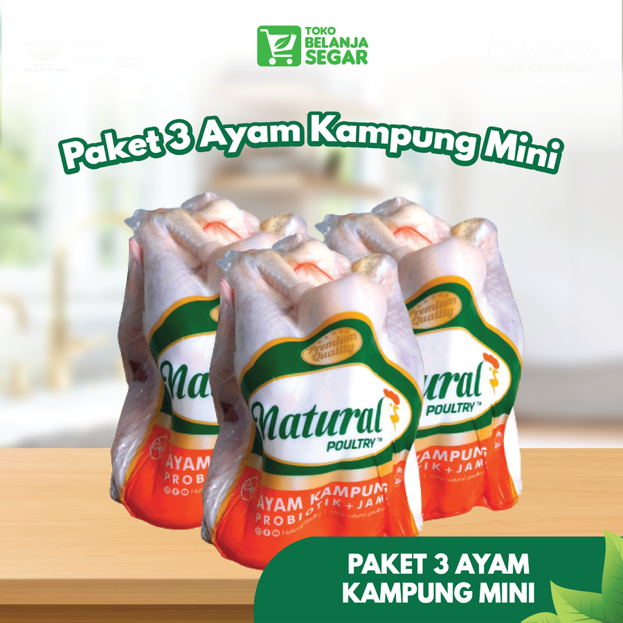 Jual Paket 3 Ayam Kampung Mini (600-700 gram) - Natural Poultry ...