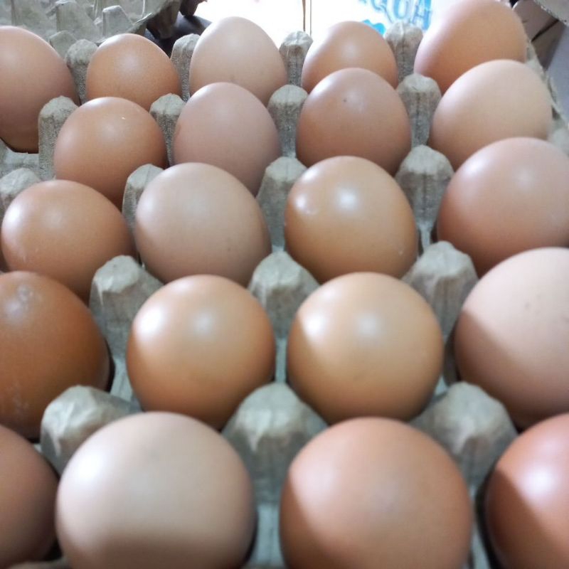 Jual telur ayam negeri 1 kg | Shopee Indonesia