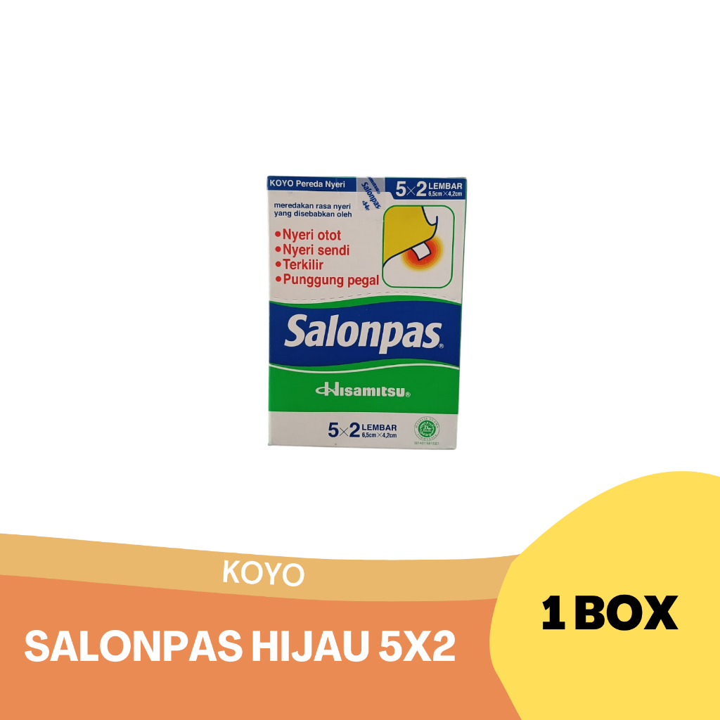 Jual Salonpas hijau 5x2 1 box isi 10 lembar | Shopee Indonesia