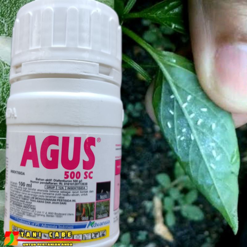 Jual INSEKTISIDA AGUS 500 SC 100 ML | Shopee Indonesia