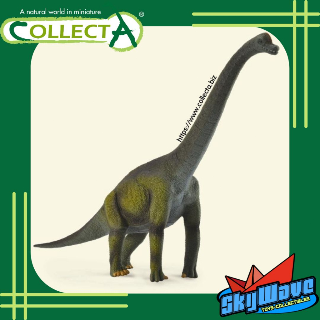 Jual Figure Dinosaurus Collecta 88121 - Brachiosaurus | Shopee Indonesia