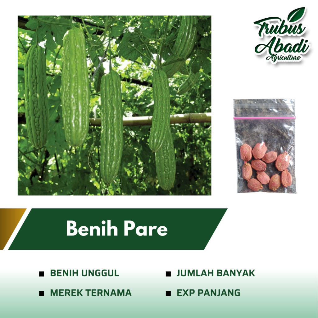 Jual Benih Bibit Pare Paria Hibrida F1 Kemasan Repack - Benih Sayuran ...