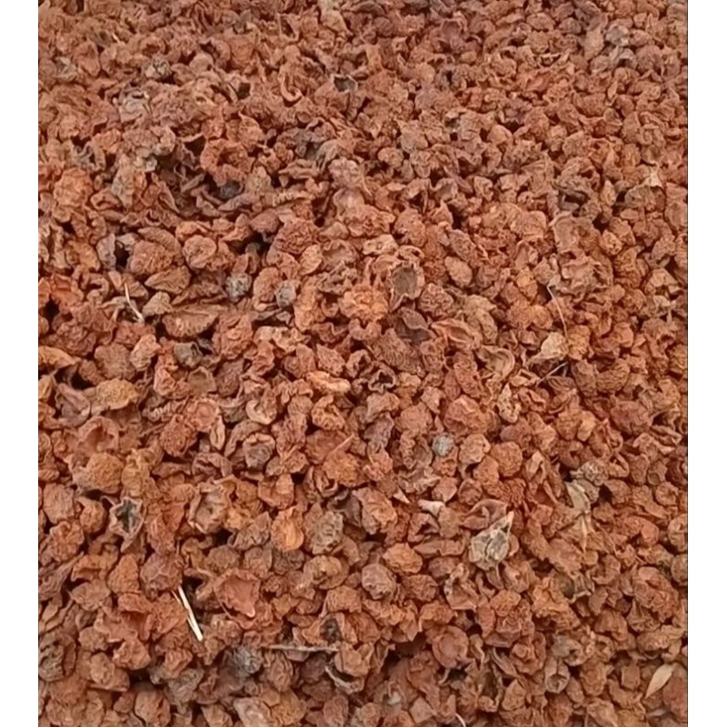 Jual kulit pala kering 1kg | Shopee Indonesia