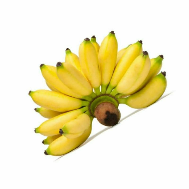 Jual Pisang muli 1 sisir | Shopee Indonesia